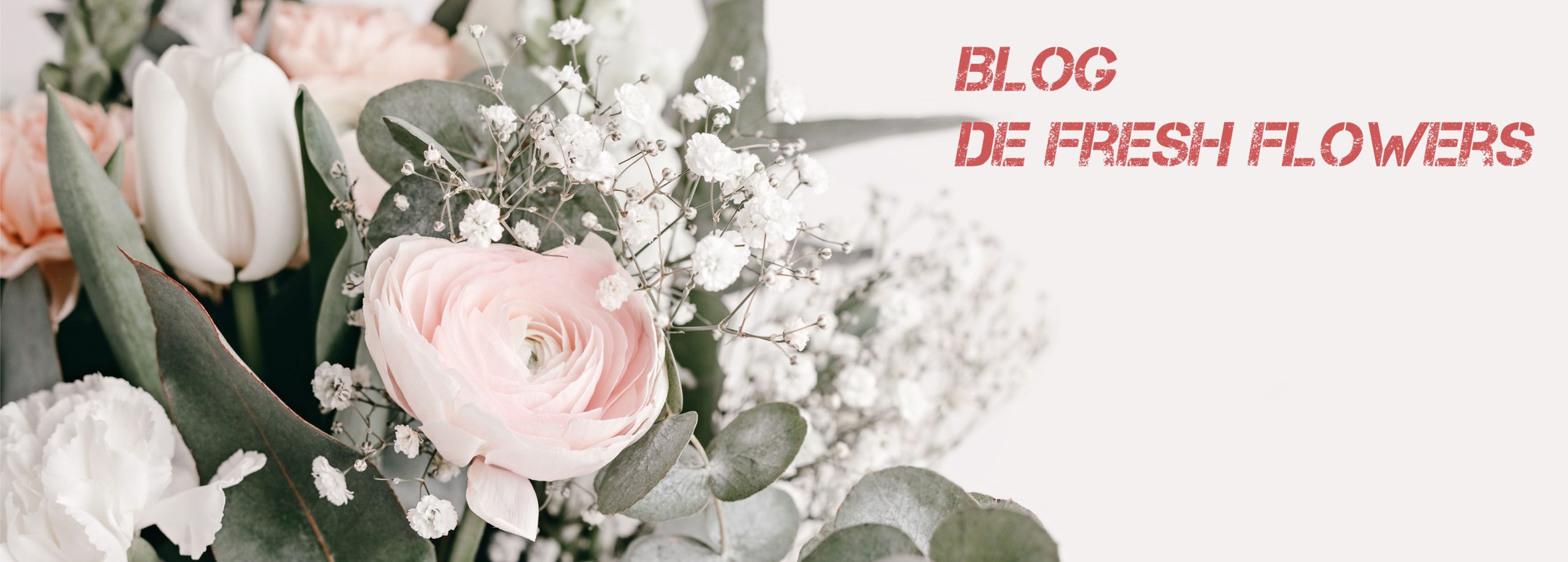 Blog de Fresh Flowers | Floreria en Hialeah. Floristería Fresh Flowers